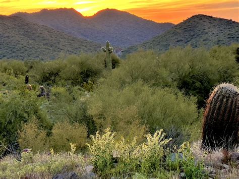 Fun Scottsdale Events April 6 9 2023 Scottsdale Lives