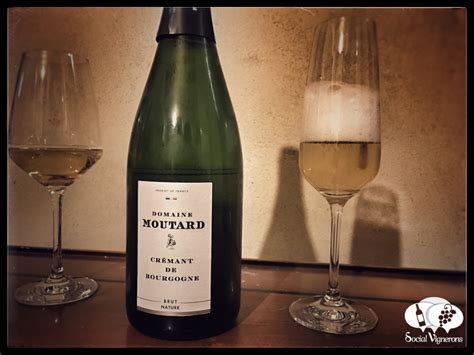 Domaine Moutard Crémant de Bourgogne Brut Nature Sparkling Burgundy Wine Social Vignerons