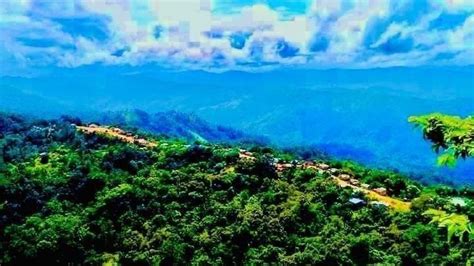 လိုင်လင်းပီမြို့ရှိ ပါဆင်းကျေးရွာ အုပ်ချုပ်ရေးမှူးနှင့် ရွာသား တစ်ဦးကို Mdf တပ်ဖွဲ့ကဖမ်းဆီး