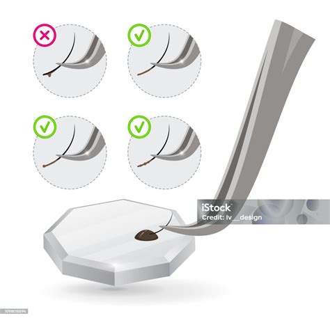 마스터의 속눈썹 확장 핀셋으로 작동 하 고 접착제에 인공 채찍 Immerses 제대로 거짓 속눈썹 접착제를 적용 하는 방법 벡터 일러스트입니다 교육 포스터입니다 가이드