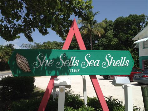 Citybabble She Sells Sea Shells