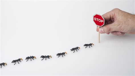 Why Shouldnt You Do Your Own Pest Control Drive Bye Pest Exterminators