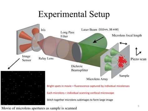 Ppt High Throughput Microscopy With A Microlens Array Powerpoint