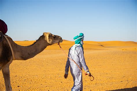 투아레그는 사막의 모래 언덕에서 낙타 열차를 이끌고 Merzouga Erg Chebbi 사하라 사막 모로코 경관에 대한 스톡
