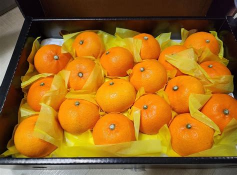 이걸로 귤 단맛을 확 끌어올렸더니 가족들이 좋아하네요 율브레인