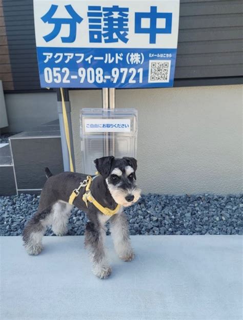アクアくん 東海三県の不動産ならアクアフィールド
