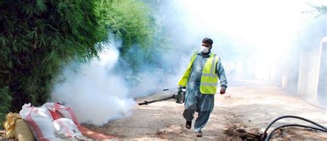 Pest Dengue Spray Serwelloss