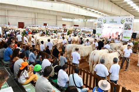 Xxxiii Concurso Nacional De Ganado Vacuno De La Raza Charolesa Sección