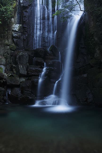 asahi 朝日新聞社和歌山県新宮市 森の写真展 フォトギャラリー 環境
