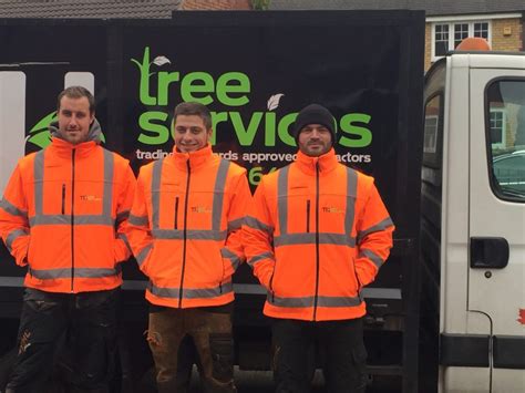Tree Workers Essex T H Tree Services