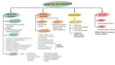SOLUTION H Bitos Saludables Resumen Bio Studypool