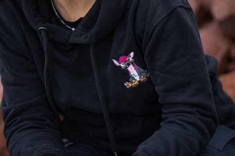 Dipper The Dog The Digger Girl