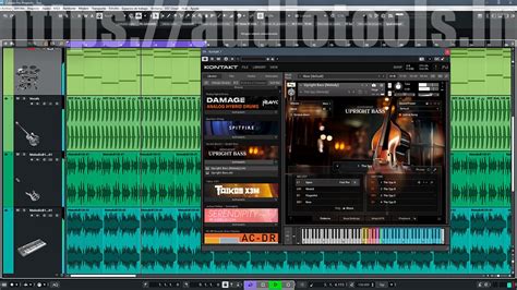 Session Bassist Upright Bass Kontakt Audiotools