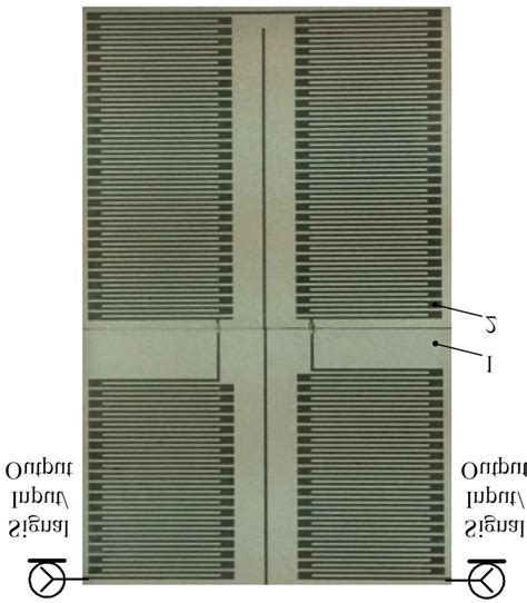 Setup Of Experimental Investigation Of The Delay System Download