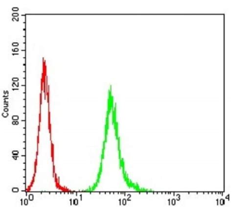 Beta 2 Adrenergic Radrb2 Mouse Anti Human Clone 4a6c9 Novus