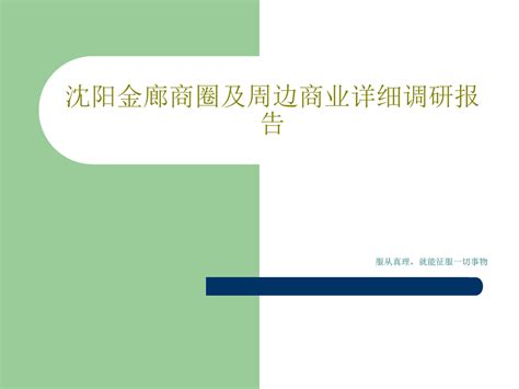 沈阳金廊商圈及周边商业详细调研报告共59页文档word文档在线阅读与下载无忧文档