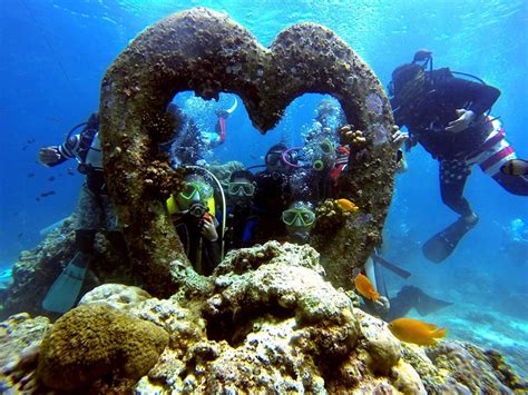 Dive Into English The Ultimate Scuba And Language Adventure In Cebu