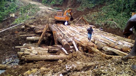 Logging On Heights Banned SIBC