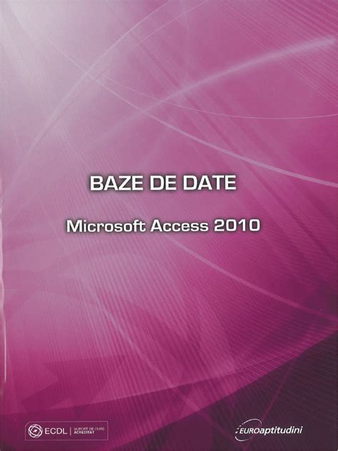 Ecdl Access Pdf