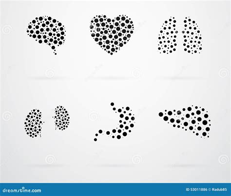 Internal Human Organs Icons Stock Vector Illustration Of Care