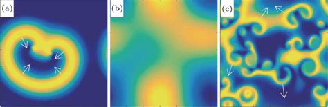 Pattern Formation At Different Diffusion Indices Of Inhibitor A Download Scientific Diagram