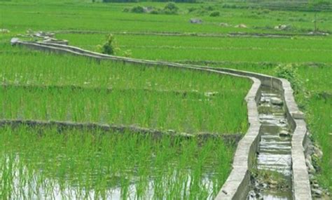 बागलुङमा १५ प्रतिशत खेतीयोग्य जमिनमा मात्रै सिँचाइ सुविधा Pokhara News