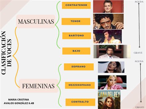 Clasificación De Voces Pdf