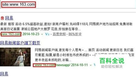 高级搜索指令site讲解 Site的用法实例介绍 【百科全说】