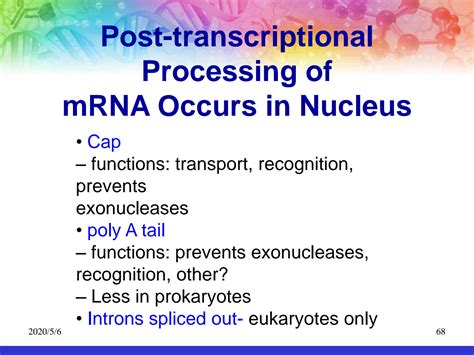Solution Rna Biosynthesis Part Iv Studypool