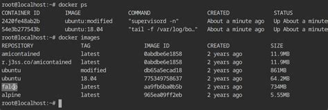 Observe Malicious Actions Being Detected Using Falco