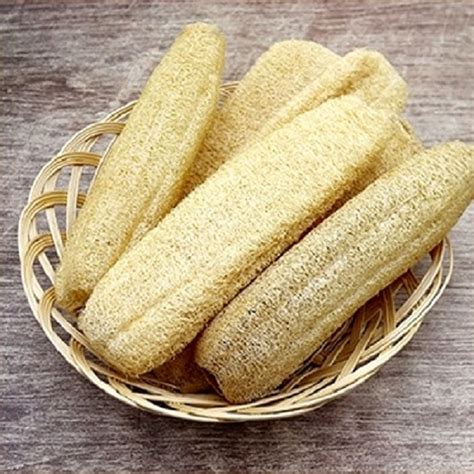 만원의행복 무료배송친환경 모음전 천연 칫솔 12개입수세미비누 받침대 거품 망 사각 제로웨이스트 기념품 티몬