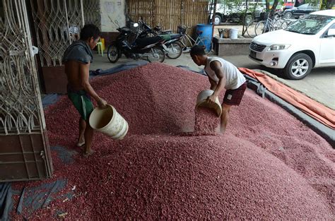 Agro Exports Rise Despite Drops In Other Export Groups Global New