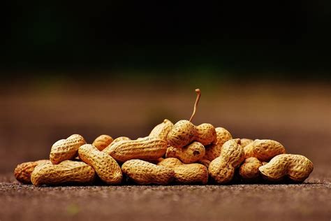 Nutrition In Peanuts Peanuts Calories And Nutritional Facts