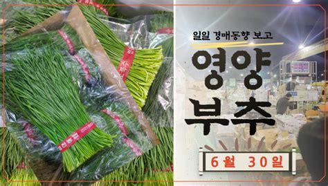경매사 일일보고 가락시장 6월 30일자 영양부추 경매동향을 살펴보겠습니다 네이버 블로그