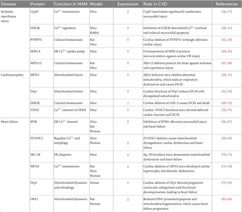 Table 1 From Mitochondria Associated Endoplasmic Reticulum Membranes