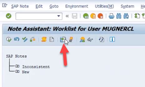 How To Install Run The ABAP On HANA Sizing Repor SAP Community