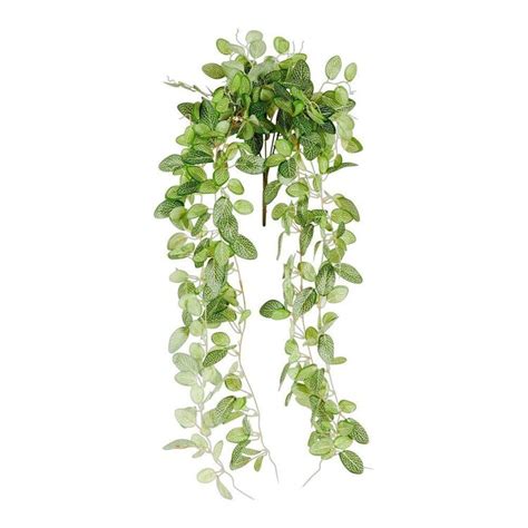 Reticulate Leaf 79 Cm Hanging Bush Green