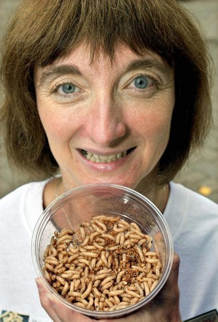 Guest Blog Have You Considered Insect Bioconversion Food And Drink Technology