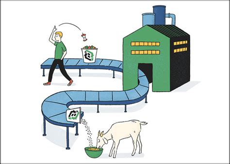 News Sustainable Food Disposal Solutions Bright Feeds