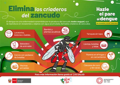 Dengue Azota El Perú Minsa Busca Declarar En Emergencia A 20