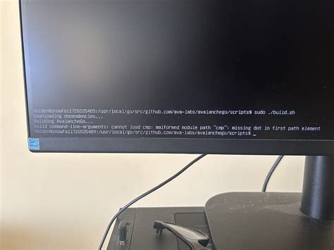 Cannot Load Cmp Malformed Module Path Avalanche Ecosystem