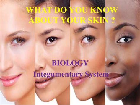 Integumentary System Ppt Free Download