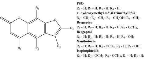 Linear Furanocoumarins And Their Structures Namely Psoralen Pso