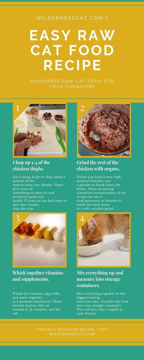 Easy Raw Cat Food Recipe Adapted From The Feline Nutrition Foundations