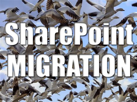 Sharepoint Migrations Agilistix