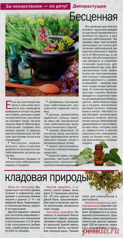 Лечебные растения кладовая природы ЛЕКАРСТВЕННЫЕ РАСТЕНИЯ общее Постила