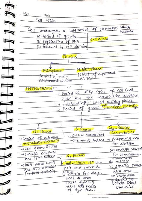 SOLUTION Cell Cycle Revision Notes Studypool