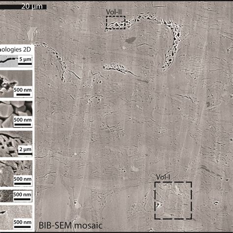 Microstructure Of The Shf Of Opalinus Clay Imaged Using A Combination