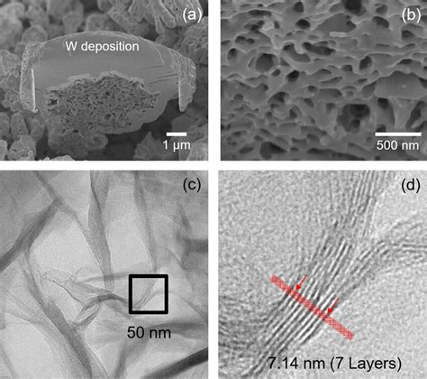 A Cross Sectional Sem Image Of The W Deposited H To Particle B