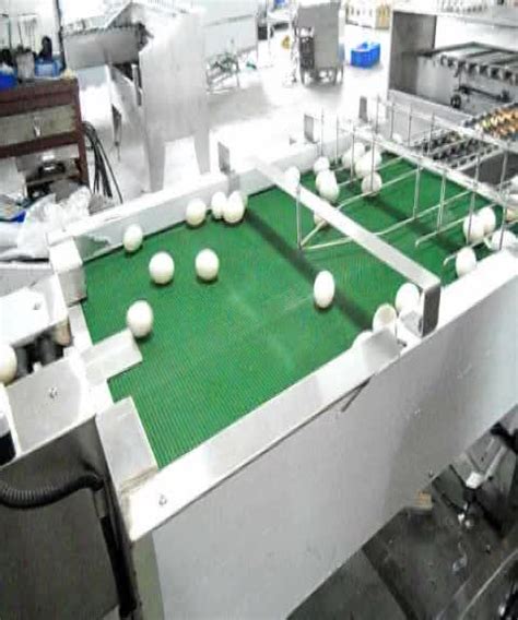 Mechanical Egg Sorting Machine Buy Egg Grading Machine Egg Sorter Machine Egg Grader Product